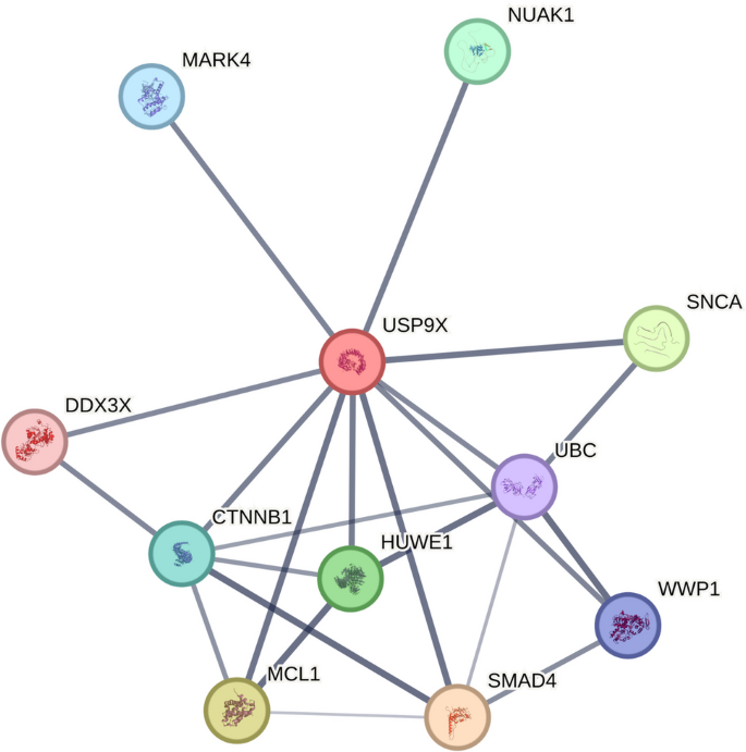 BCORL1, POF1B, and USP9X copy number variation in women with idiopathic ...