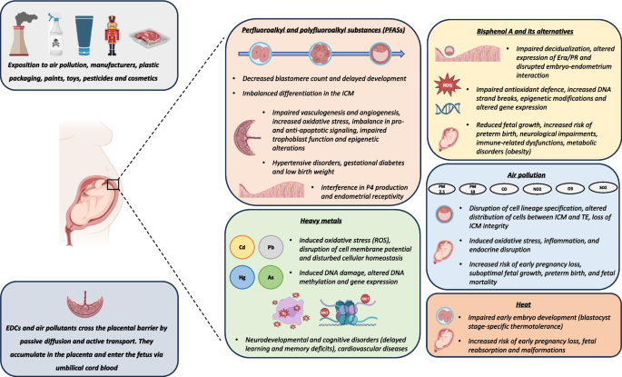 The silent crisis: investigating the impact of environmental pollutants ...
