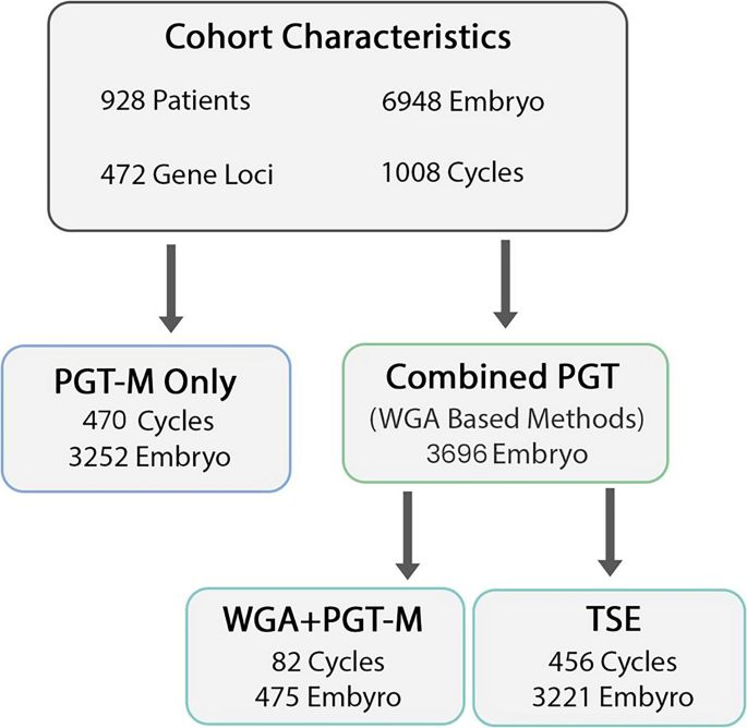 Assessing the efficacy of targeted enrichment protocol in PGT-M ...