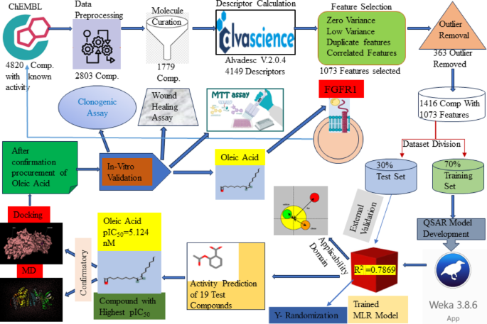 Developing a predictive QSAR model for FGFR-1 inhibitors: integrating computational and ...