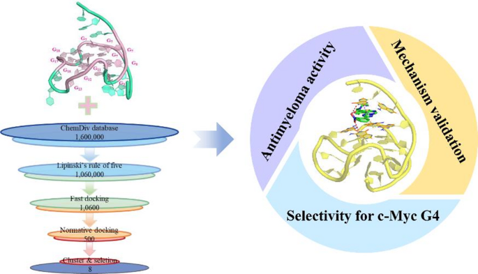 Structure-based drug design of small-molecule c-Myc G-quadruplex ...