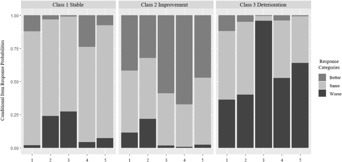 The Role of Family Climate in Adolescents’ Well-Being during the COVID ...
