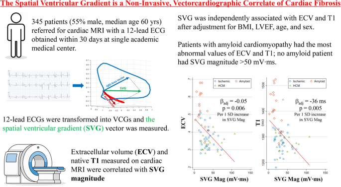 The spatial ventricular gradient is a non-invasive, vectorcardiographic ...