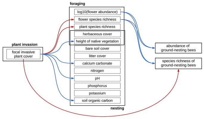 The effects of plant invasion, floral resources and soil ...