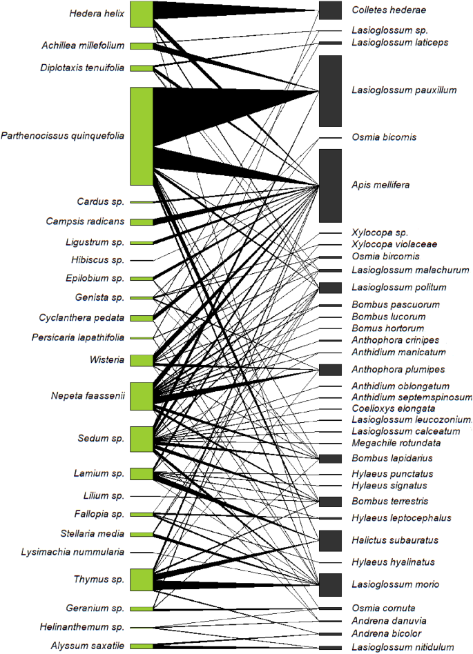 Greens up: vertical greenings to promote urban pollinators – a ...
