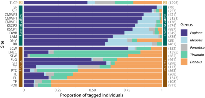 Multi-species aggregation and movement patterns of danaid butterflies ...