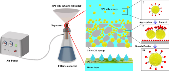 Robust chitosan sponges for highly efficient aggregation-induced ...