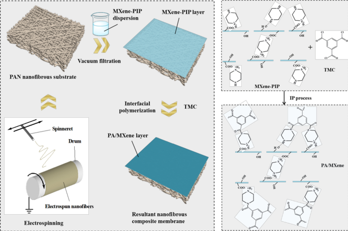 Loose polyamide nanofiltration membranes reinforced with MXene via ...