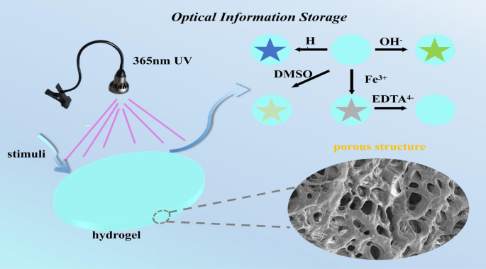 Dual AIEgen-synergized multistimuli-responsive hydrogels for ...