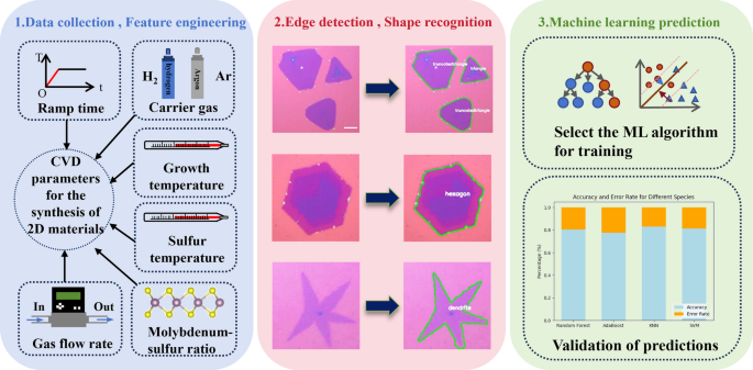 Machine learning-assisted shape prediction for two-dimensional ...