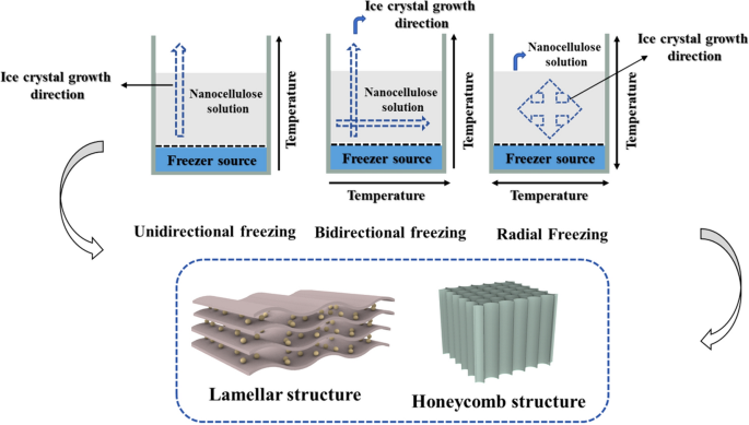 Review: research progress of cellulose-based directional frozen ...