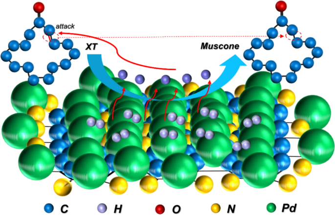 Hydrogenation of 3-methylcyclopentadecenone to synthesize muscone with ...