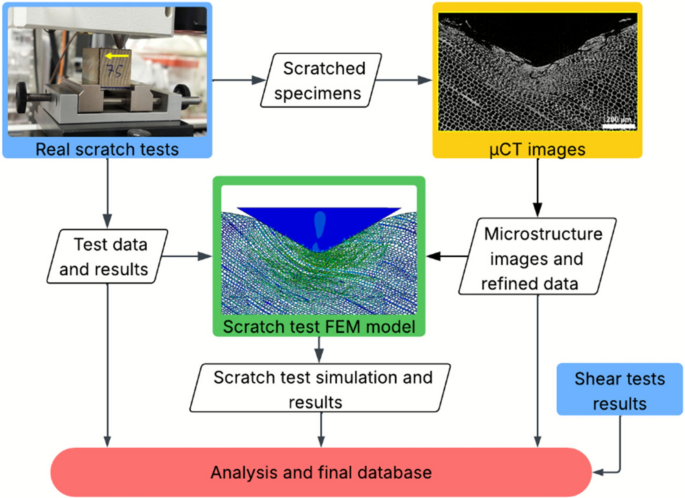 Analysis of elastic and plastic behaviour in untreated pine wood under ...