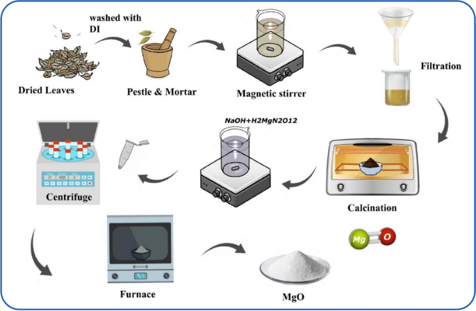 Eco-sustainably synthesized magnesium oxide-based flexible and stable ...