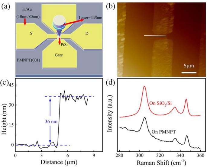 In situ tuned photoelectric properties of PtS2 transistor | Journal of ...