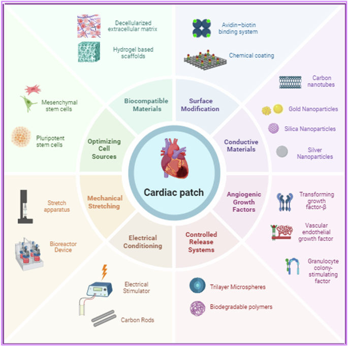 “Advancing cardiac patch viability and functionality: innovations in ...