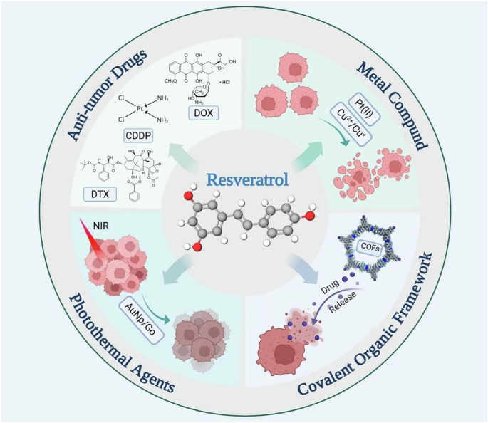 A review: advances of resveratrol co-delivery biomaterials-based system ...