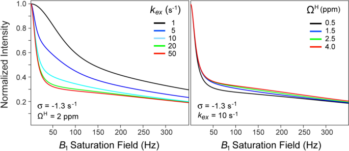 Estimating cross-relaxation rates between methyl and neighboring labile ...