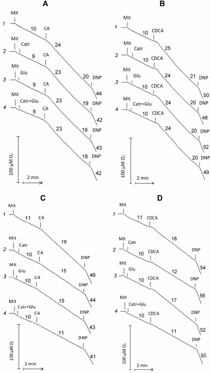 Nigericin modifies the mechanism of the uncoupling action of bile acids ...