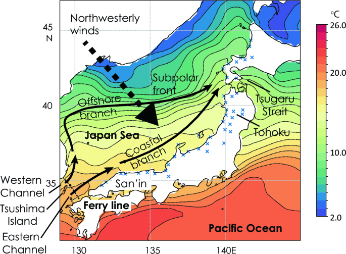 Revisiting the connection between variations in the Tsushima Warm ...