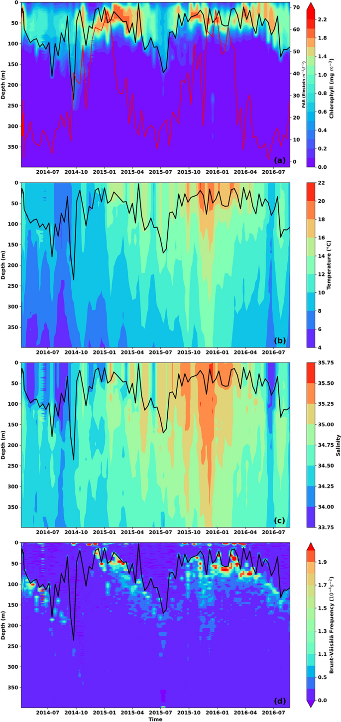 Temporal insights into deep chlorophyll maxima dynamics in the Indian sector of the Southern ...