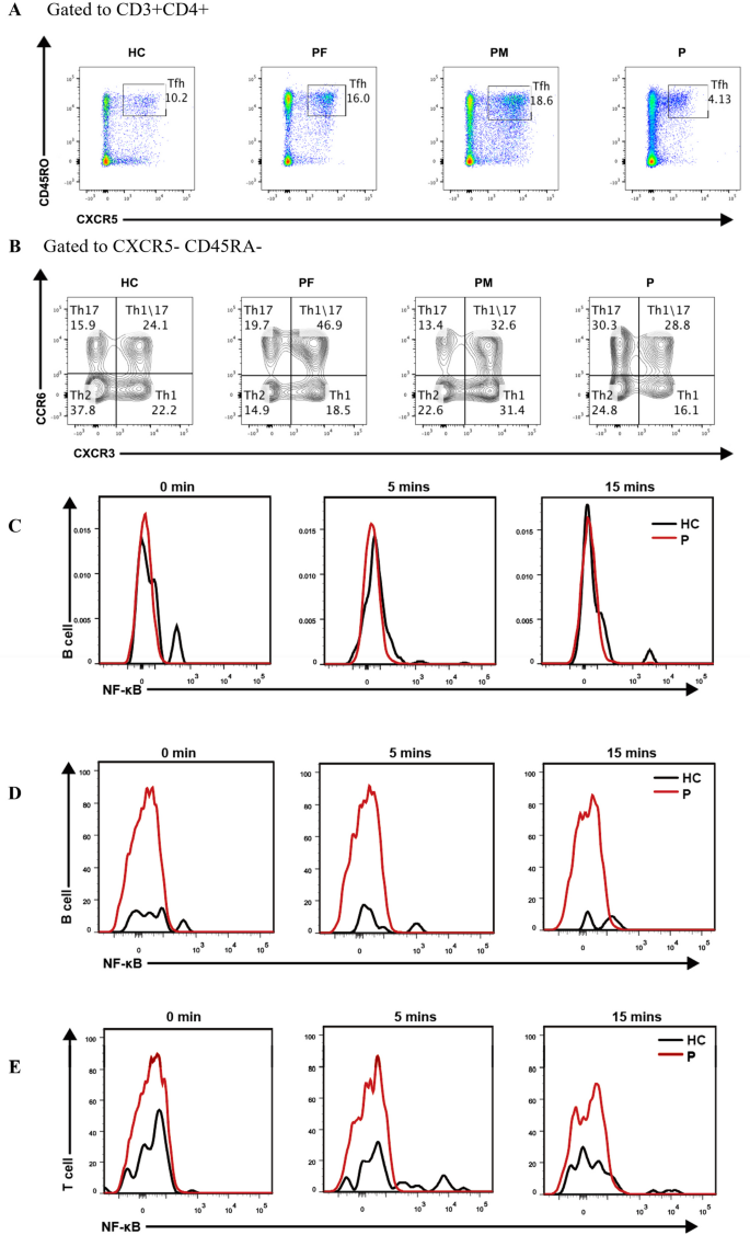 Novel Compound Heterozygous Mutations in HOIP Result in ...