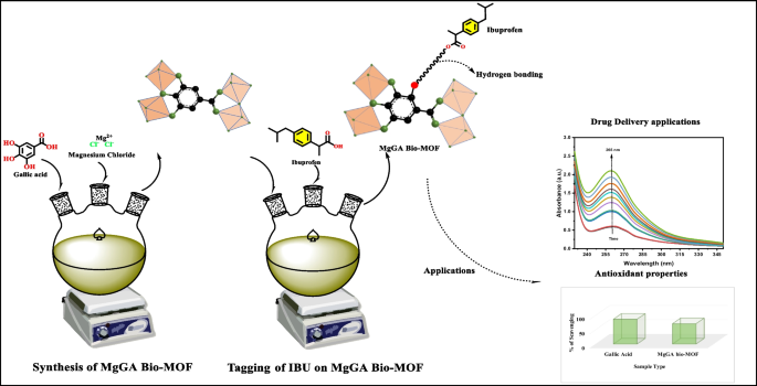 Biological Efficacy Evaluation of Lab Synthesized MgGA Bio-MOF as an ...