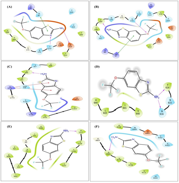 Optimized SNEDDS of Riluzole for Alzheimer’s Disease: Enhancing ...