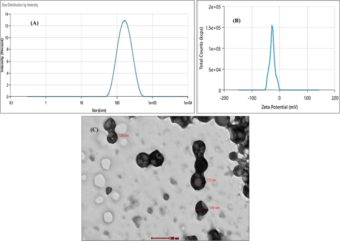 Optimized SNEDDS of Riluzole for Alzheimer’s Disease: Enhancing ...