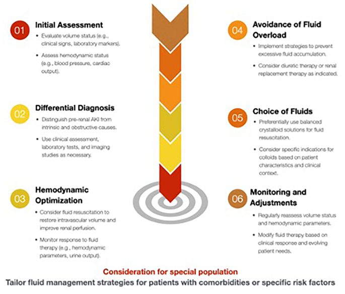 Understanding fluid dynamics and renal perfusion in acute kidney injury ...
