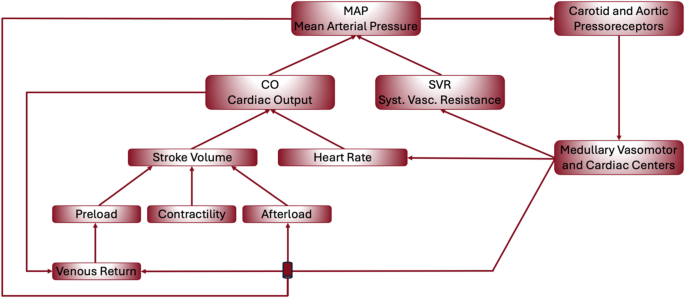 Hemodynamic monitoring: basic principles in operation room and ...