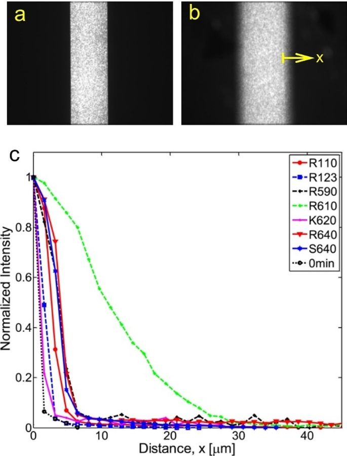 Spectral Characteristics of Water-Soluble Rhodamine Derivatives for ...