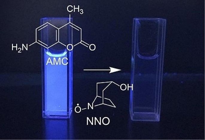 Fluorescence Quenching Effect of a Highly Active Nitroxyl Radical on 7 ...