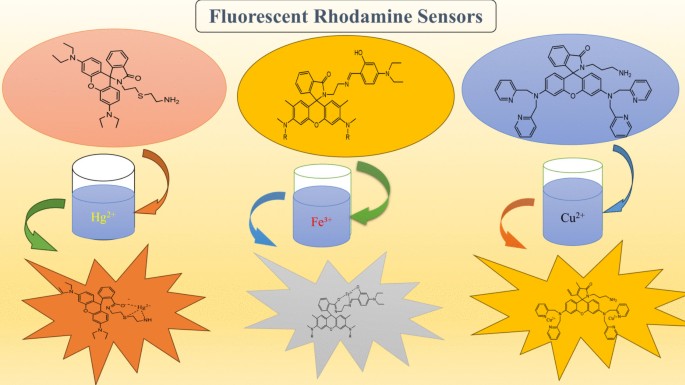 Fluorescent Rhodamine Sensors for Mercury, Iron, and Copper Ion ...