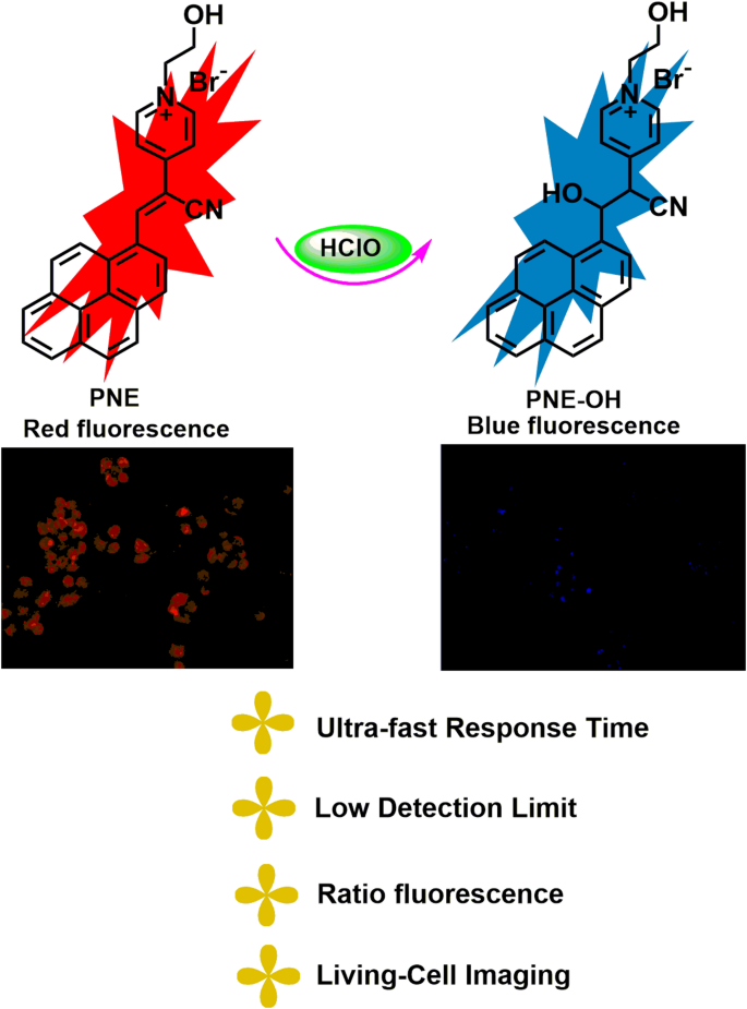 Ratiometric Pyrene-Based Fluorescent Probe for Rapid Visualization of ...