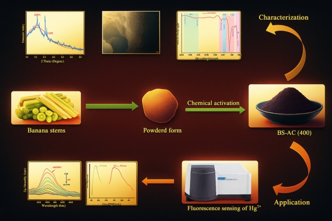 Biomass-Derived Activated Carbon as a Fluorescent Probe for Sensitive ...