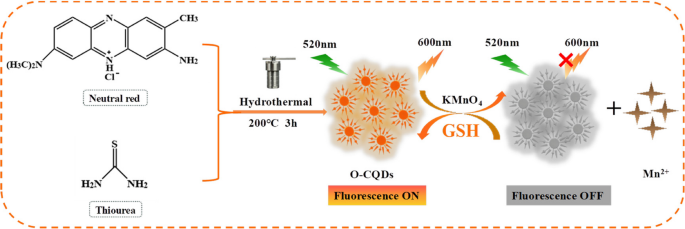 MnO2-Mediated Fluorescence Recovery for Selective Detection of ...