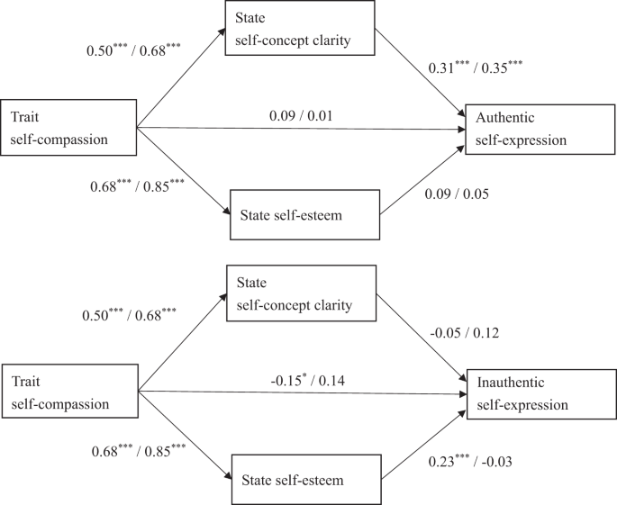How Self-Compassion Promotes Authentic Self-Expression: The Role of ...