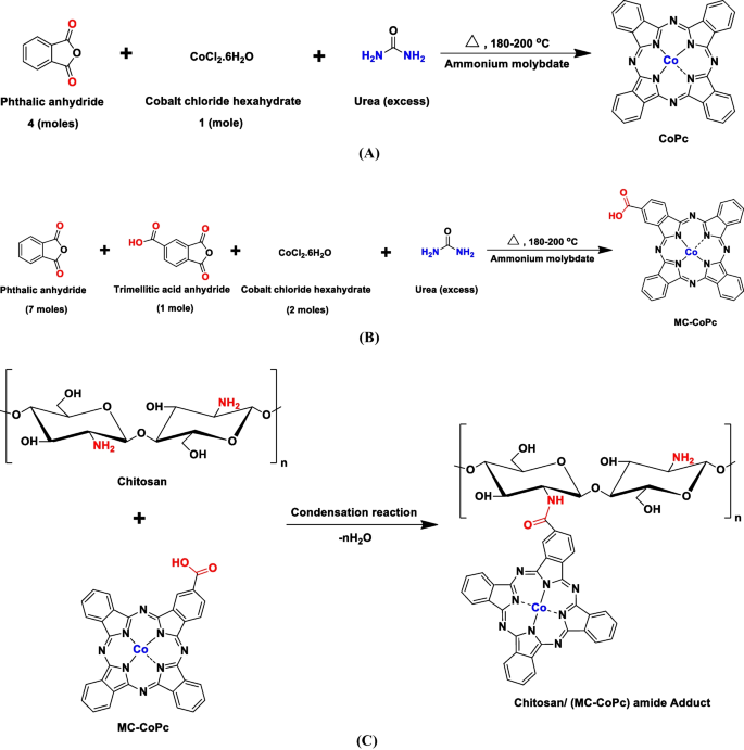 Chitosan, Glutamic Acid/Monocarboxylic Cobalt-Phthalocyanine, and ...