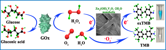 Colorimetric Detection of H2O2 and Glucose Based on Novel Zn3(OH)2V2O7 ...