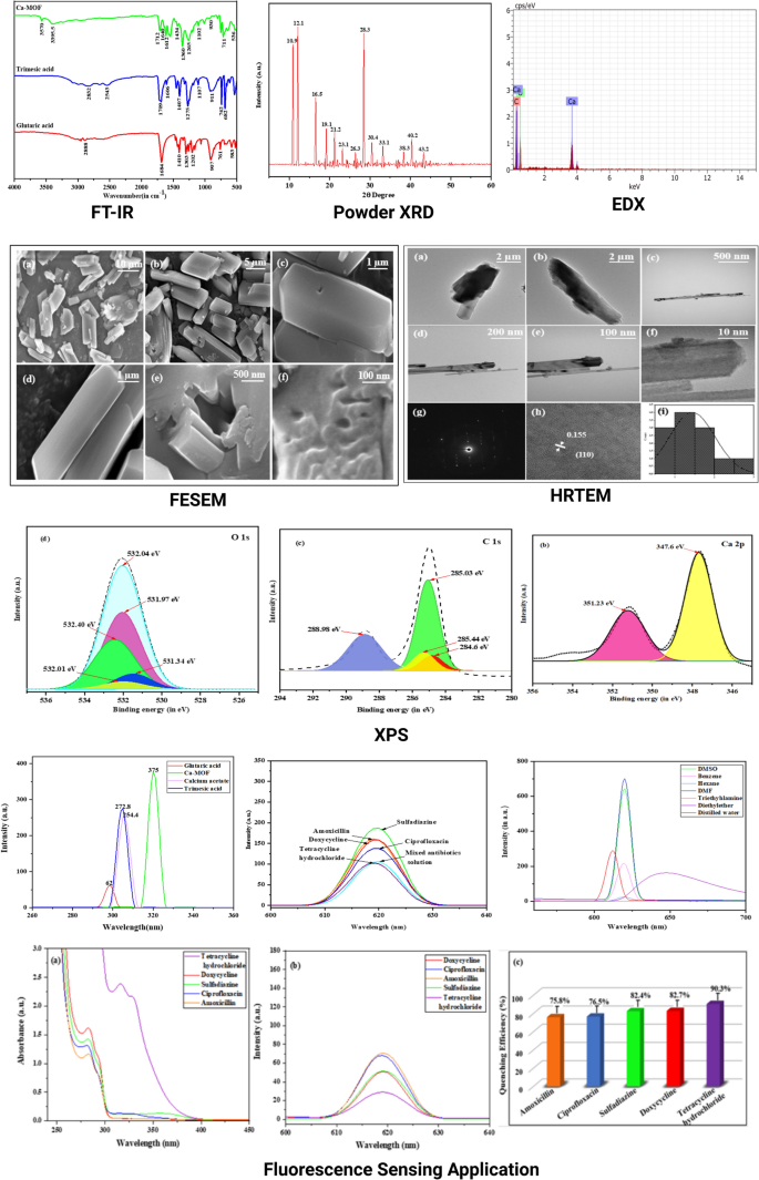 Calcium-Based Metal–Organic Metal‒Organic Framework as a Turn-Off ...