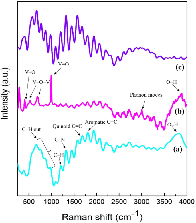 Interconnected and Layered Morphological Structure of Polycarbazole ...