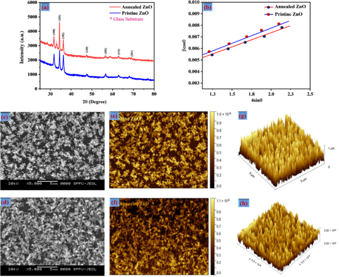 Annealing-Induced Defect Modulation and Functional Switching in ZnO ...
