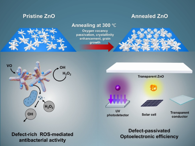 Annealing-Induced Defect Modulation and Functional Switching in ZnO ...