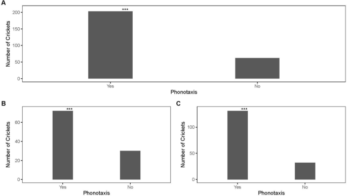 Phonotactic Behavior of Male Cricket Acheta domesticus in Relation to ...