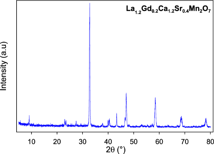 On the Magnetotransport Properties and Griffith Phase in the $$({\varvec{L}}{\varvec{a ...