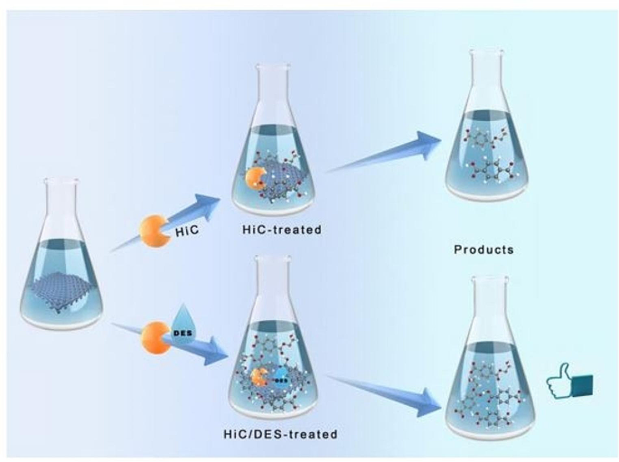 Deep Eutectic Solvent as an Additive to Improve Enzymatic Hydrolysis of ...