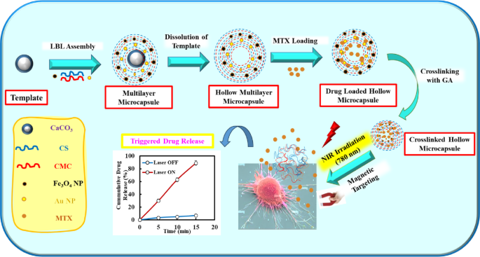 Development of Dual-Responsive Magnetic/NIR-Triggered Multilayer ...