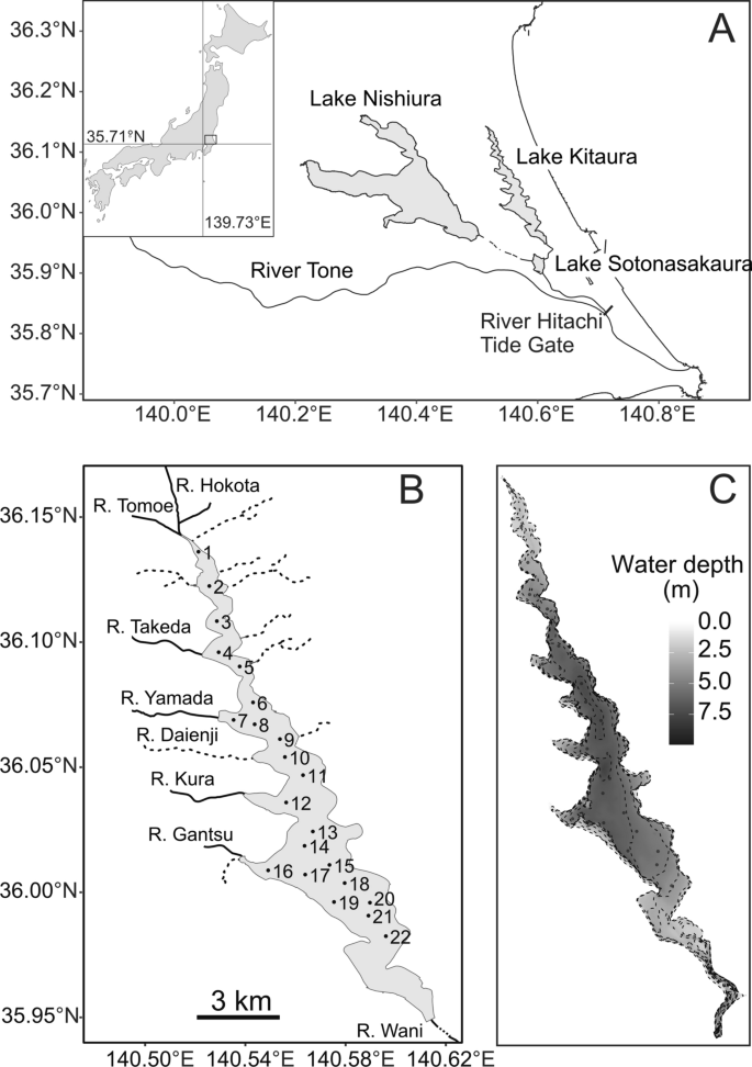 Fragmentation and separation of diatom valves in modern shallow lake ...