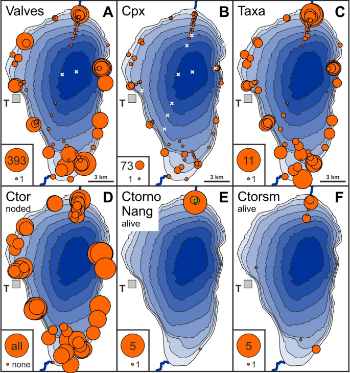 The ostracod distribution in the Sea of Galilee (Levant): species ...